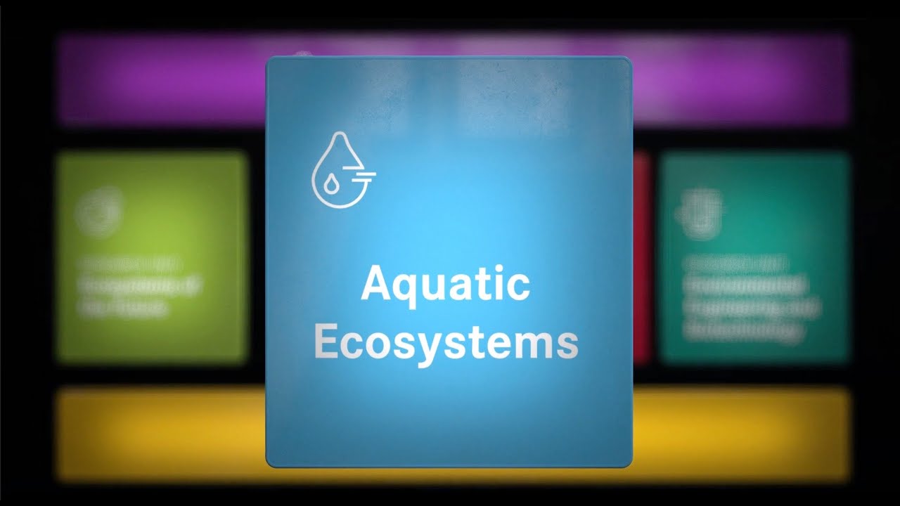 Aquatic Ecosystems – Better water management for a good status of rivers and lakes