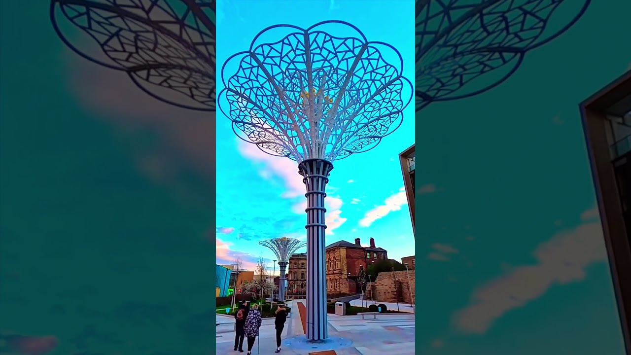 Barnsley Town Centre’s recent highlight is three illuminated Yorkshire Rose sculptures.