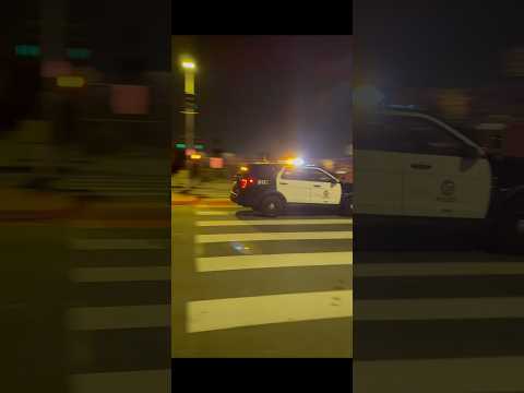 What does code 3 mean? Police Emergency driving