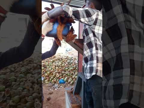 Coir Machinery - Coconut Fibre Machine Latest Price, Manufacturers ...