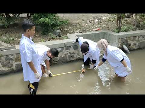 TEKNIK PENGAMBILAN SAMPEL AIR PADA SUNGAI
