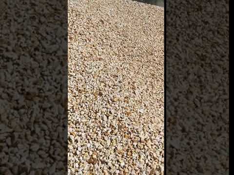 Decorative Gravel Wyee Landscape Supplies Bulk Products 20mm white scoria used in gardens driveways