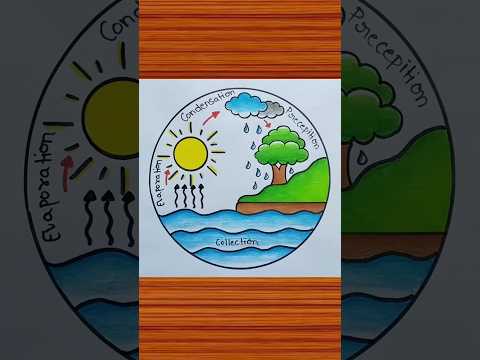 Water Cycle Project / Water Cycle Diagram / Water Cycle Drawing #shorts