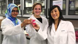 Food Scientist Overview | What is a food scientist? - Zippia