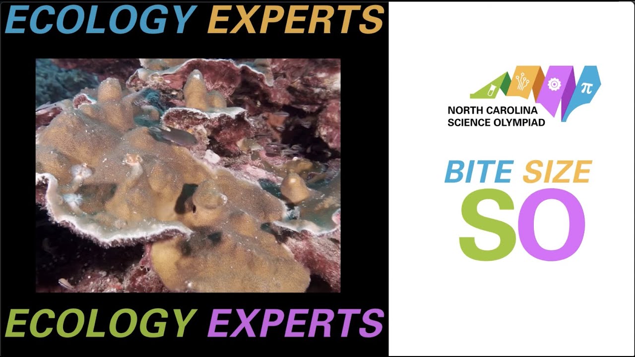 2022 Bite Size SO - Ecology Experts