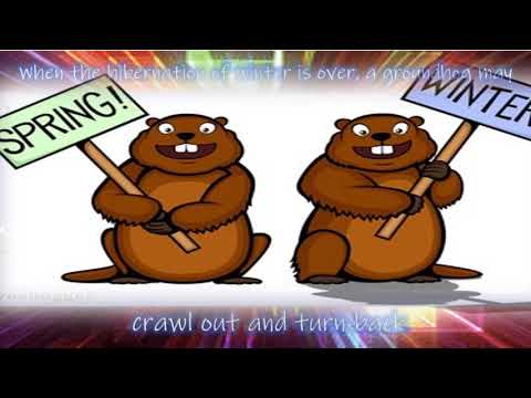 Why does a groundhog control the weather