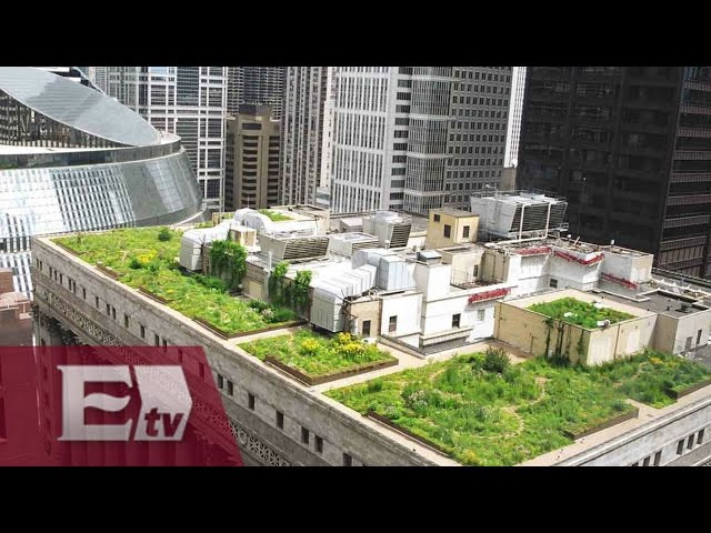 La azotea verde más grande de Latinoamérica