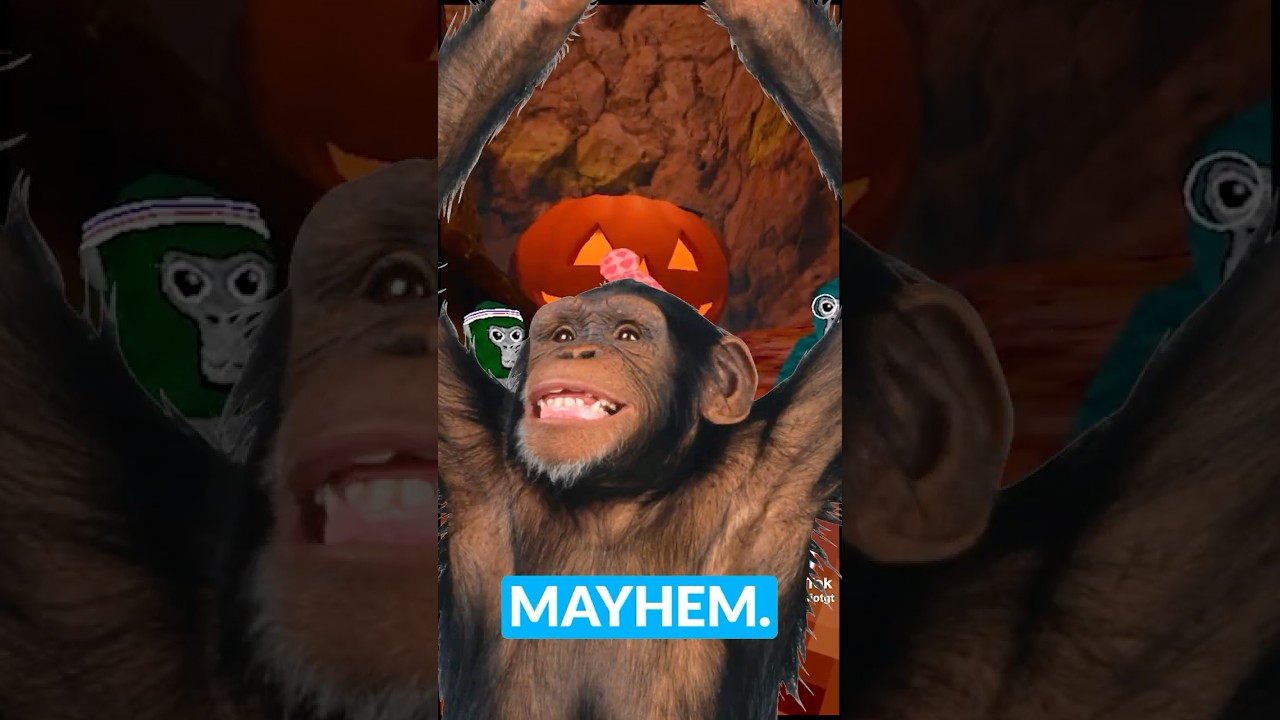You Could Make MONKE HISTORY!! #monkemayhem #gorillatag #vr