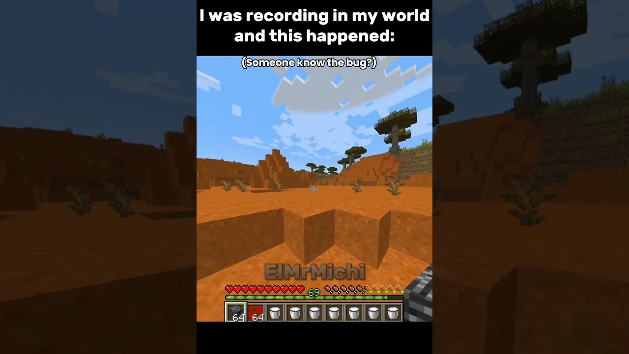 Anyone know this bug? 🤔 #minecraft #memes #bug