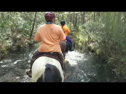 10 Mile Ride from Diamond D Ranch into Jennings State Forest