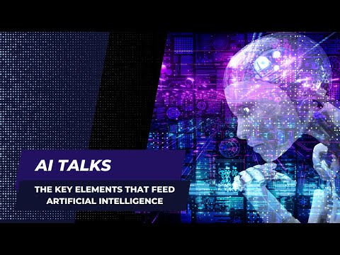 AI Talks: The Key Elements That Feed Artificial Intelligence
