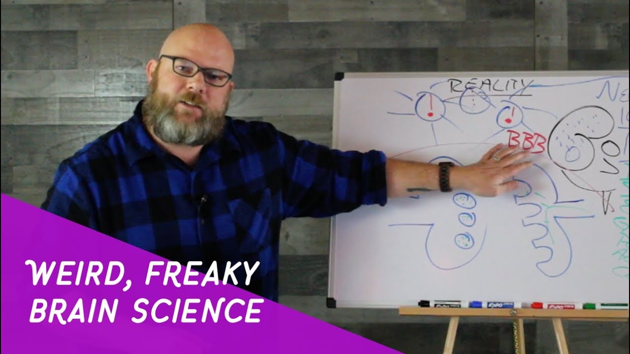 Weird, Freaky Brain Science