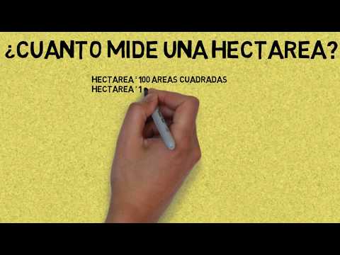 ¿Cuanto Mide Una Hectárea? 🥇 | LAS RESPUESTAS A TUS PREGUNTAS