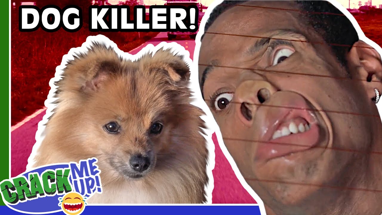 Dog Killer | White Chicks