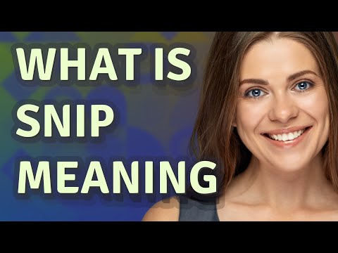 Snip | meaning of Snip
