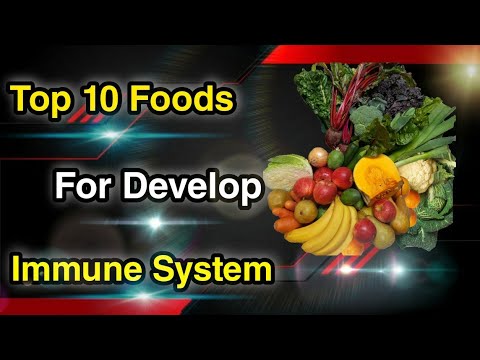 Top 10 Foods for Develop immune system / Universel Exploratory