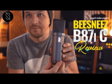 Beesneez BU87i C | Reverb