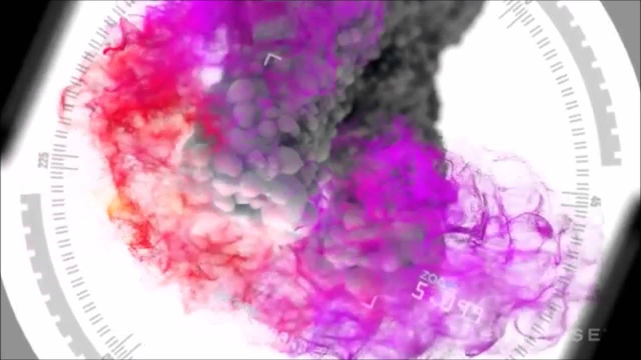 Finiti Partners Worldwide Jeunesse