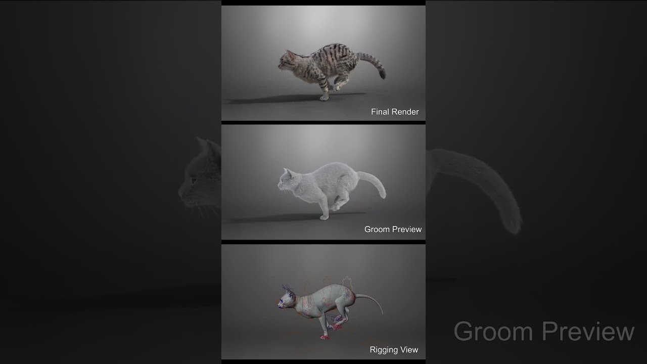 Grey Tabby Cat  Model #animal #3d #cat  #vfx #3d
