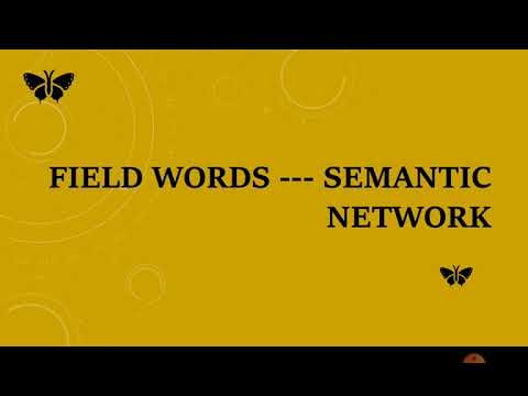 semantic field / semantic network ( XI English)