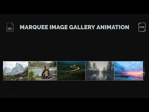 Image Gallery (Marquee Effect) Animation Using By HTML And CSS | CodeExpress