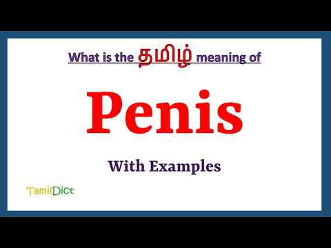 Penis Meaning in Tamil | Penis in Tamil | Penis in Tamil Dictionary |