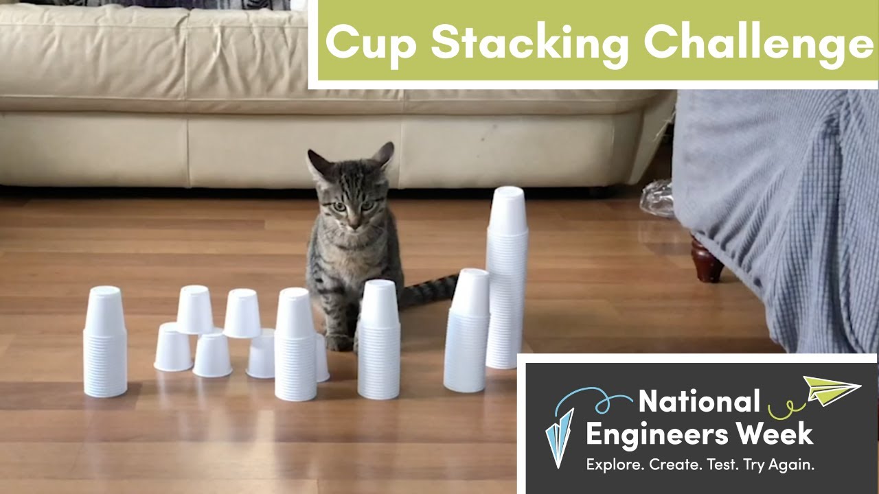 Engineering Challenge: Cup Stacking for Kids
