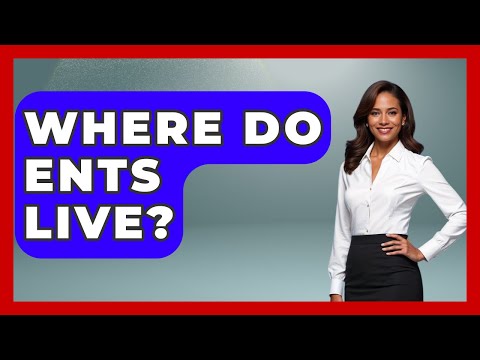 Where Do Ents Live? - Literary Icons