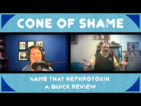 COS - 212 - Name That Nephrotoxin: A Quick Review