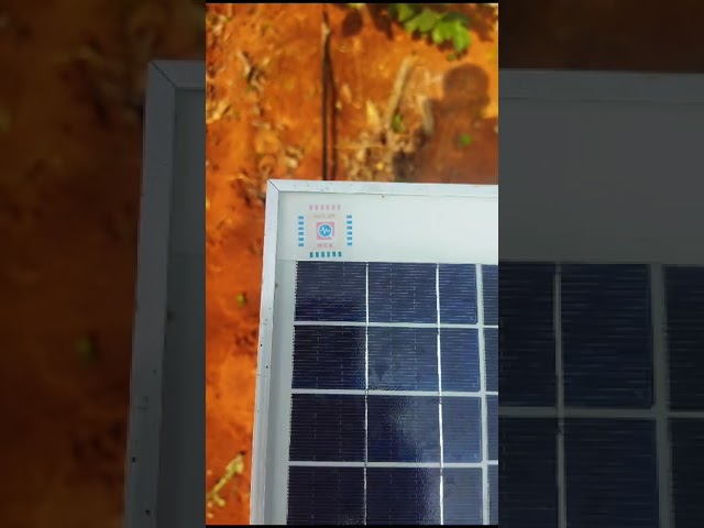 Insect Traps - Solar Insect Light Trapper Manufacturer from Bengaluru