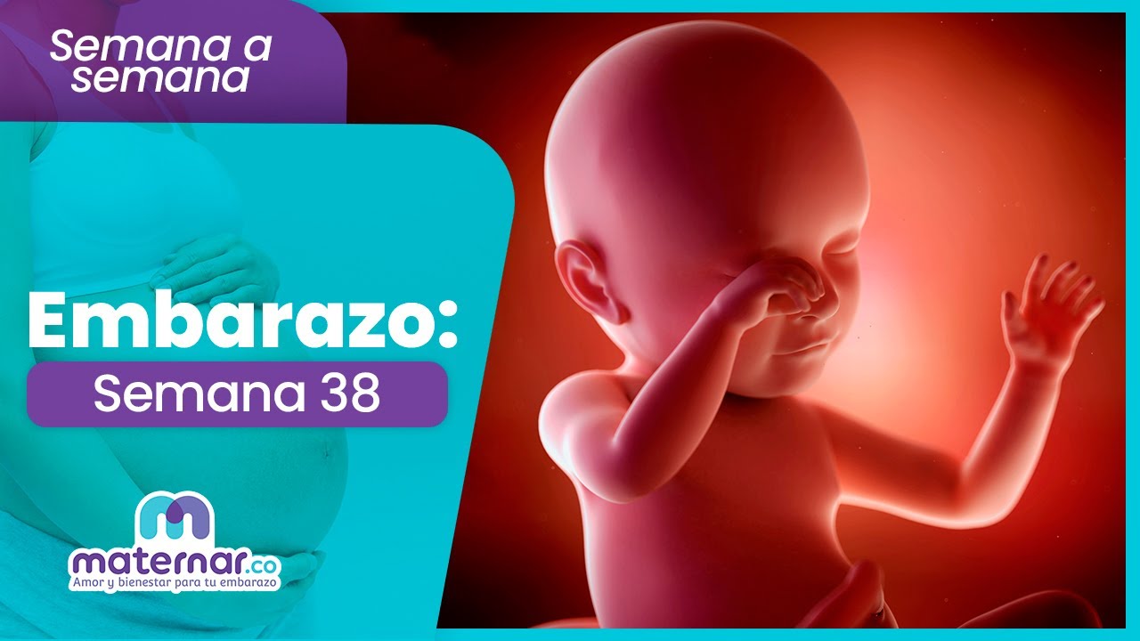 Semana 38 de embarazo: ¡Comienzan los movimientos respiratorios! | Maternar.co