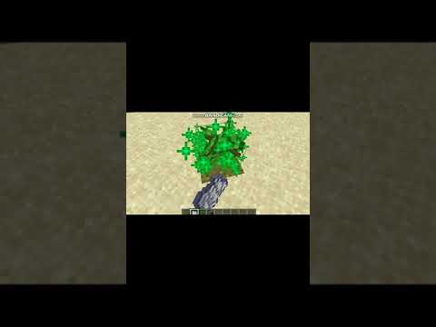 Can Dark Oak Sapling Is Grow In Desert? 🔥#shorts