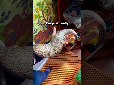 The biggest skink