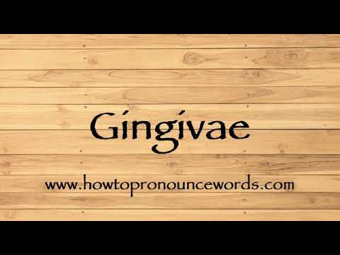 How To Pronounce Gingivae ? How To say Gingivae New Video