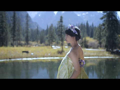 李子柒上片了！ - YouTuber板 | Dcard