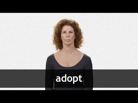ADOPT definition in American English | Collins English Dictionary