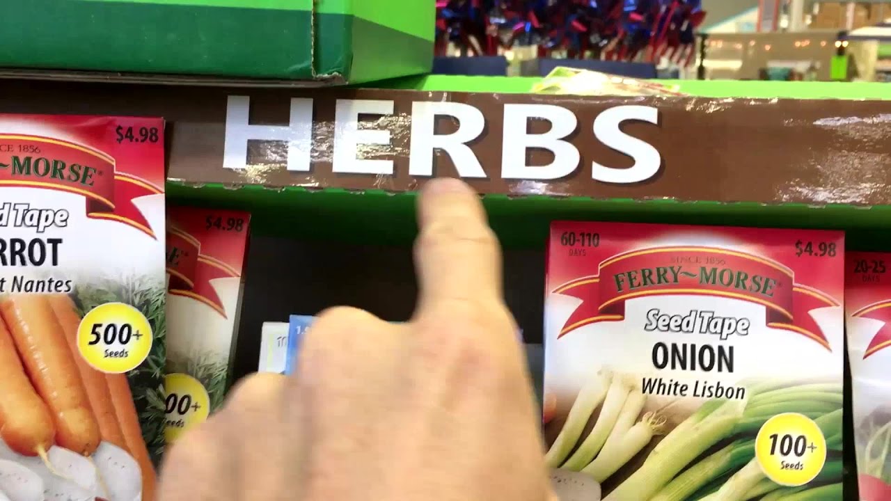 LADYBUG LOWES WITH TEA