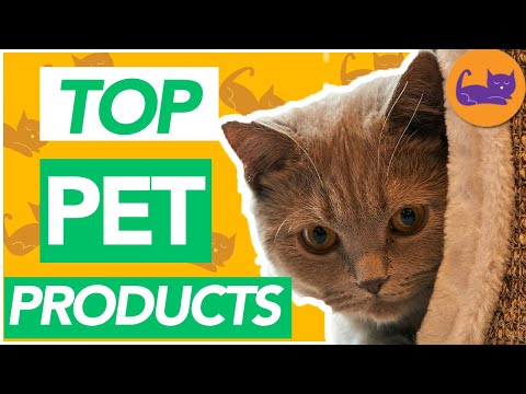 TOP Amazon Finds for Your Cat - BEST CAT PRODUCTS!