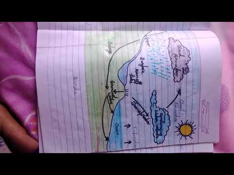 Q - Explain water cycle with diagram.