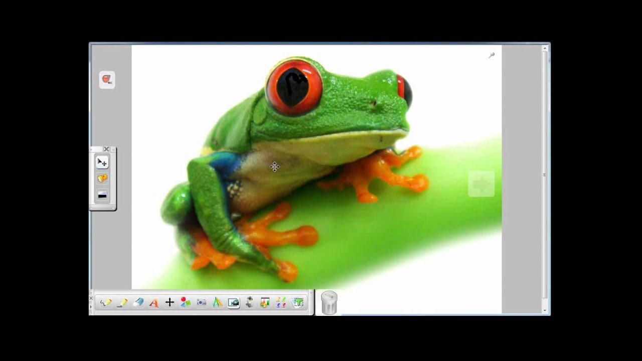A+ Interactive Software 1 Tutorial: Using the presentation tools