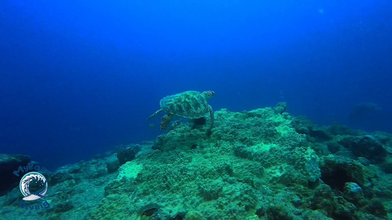 Diving Mauritius