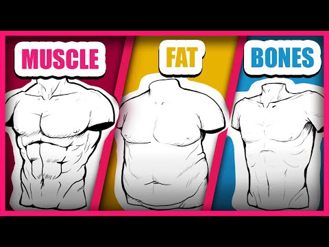 LEARN HOW TO DRAW ANY MALE BODY TYPE ONCE FOR ALL