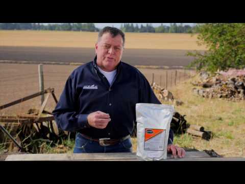 Equerry's Vitamin E and Selenium : Animal Health Solutions Inc.