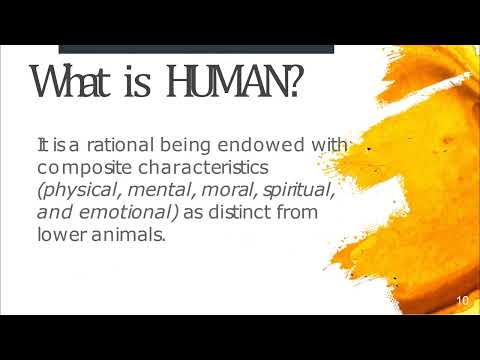 The Human Person as an Embodied Spirit