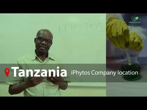 iPhytos | Redefining Medicine Through Nature & Science