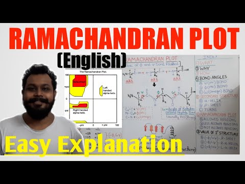 Ramachandran Plot | easy explanation