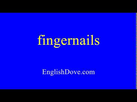 How to pronounce fingernails in American English.