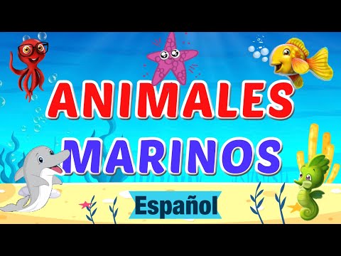 Aprendamos Animales Marinos en Español. Let’s Learn Sea Animals in Spanish.