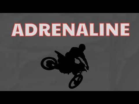 What Does ADRENALINE Means || Meanings And Definitions With Example in ENGLISH .