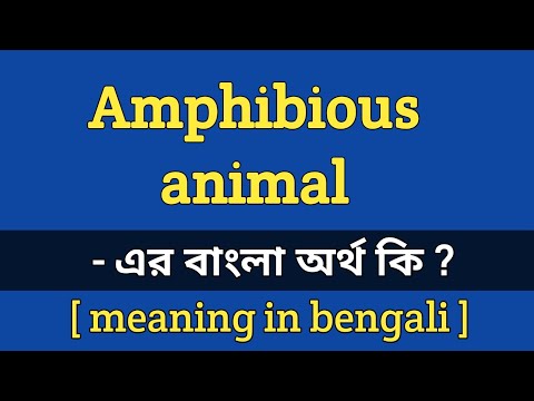 Amphibious animal meaning in bengali || Amphibious animal এর বাংলা অর্থ কি ?